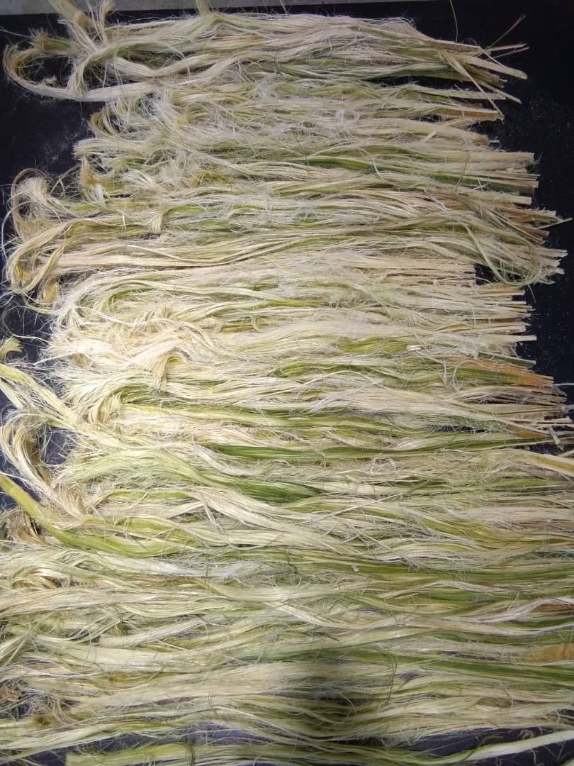 Bamboo Geotextiles, Composites & Green Materials